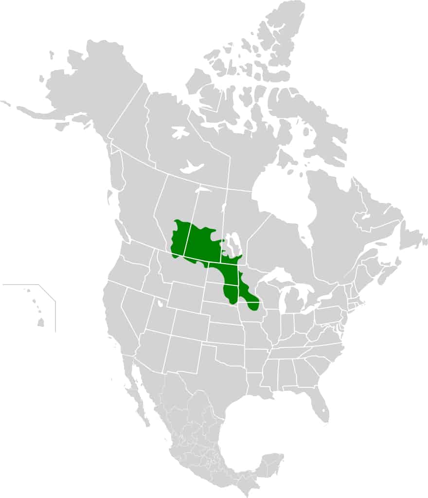 880px-Prairie_Pothole_Map. – BWD Magazine
