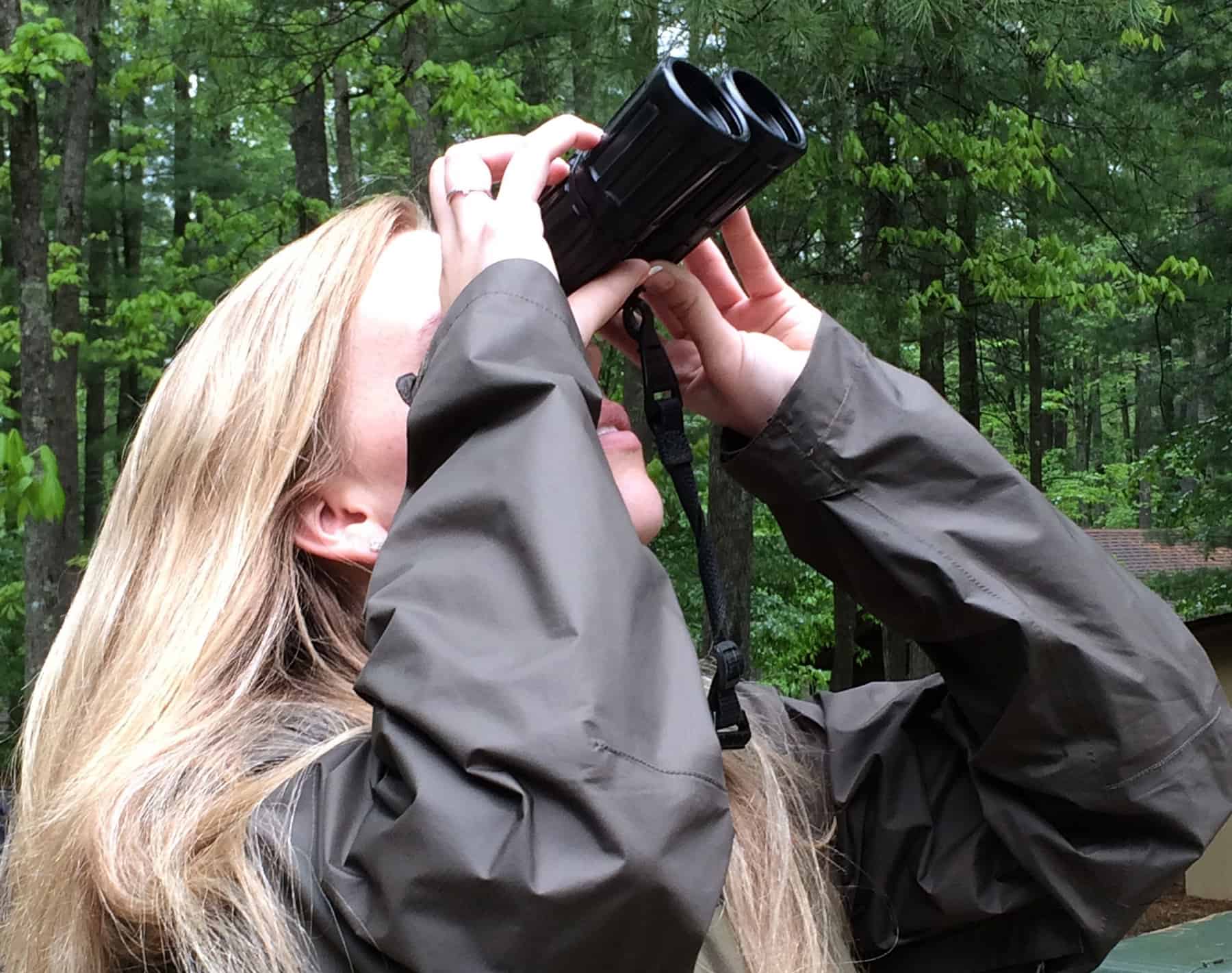Tips for Birders – BWD magazine